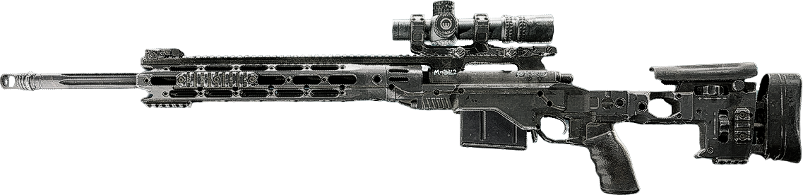 M2010 ESR Stats, Builds & Meta - Battlefield 6